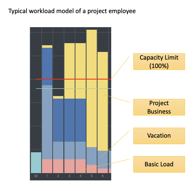 Project business versus day-to-day business